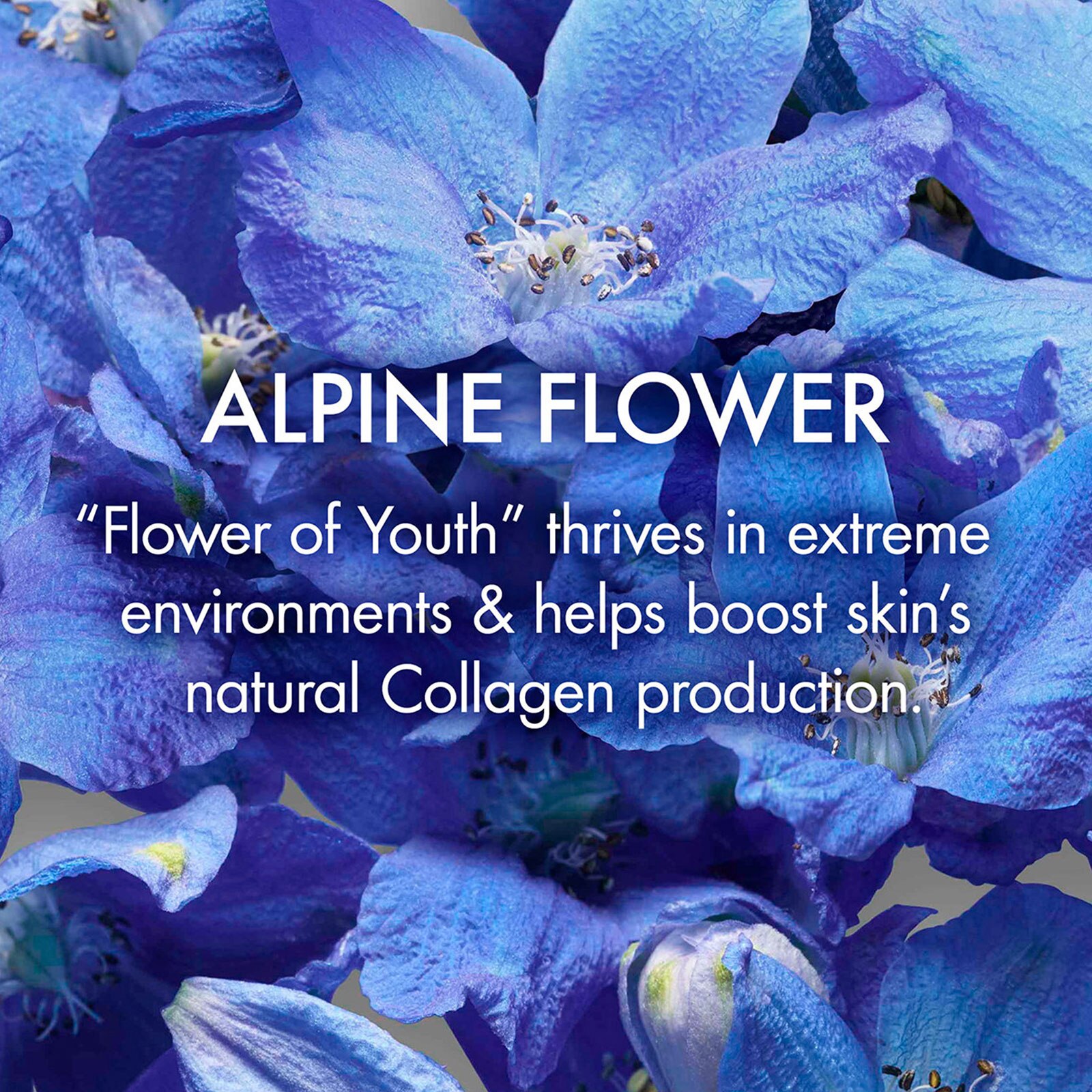 Origins Plantscription™ Retinol Night Moisturizer with Alpine Flower ...